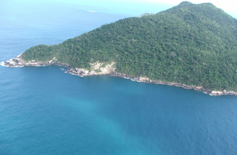 Mais de 1400 espécies identificadas na Rebio do Arvoredo — Instituto ...