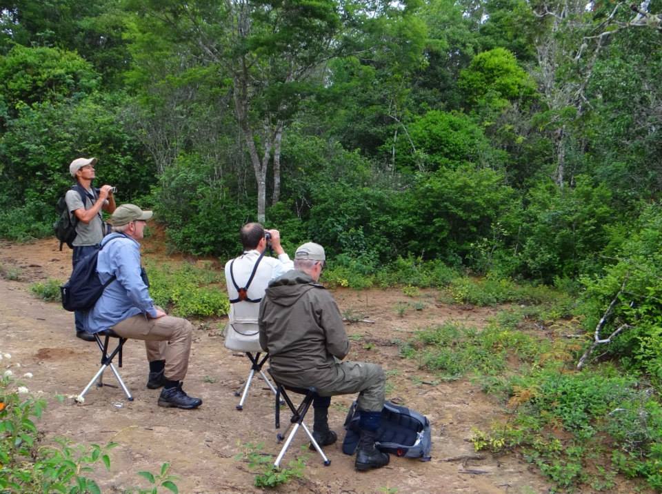 Boa Nova é destino para observadores de aves — Instituto Chico Mendes ...