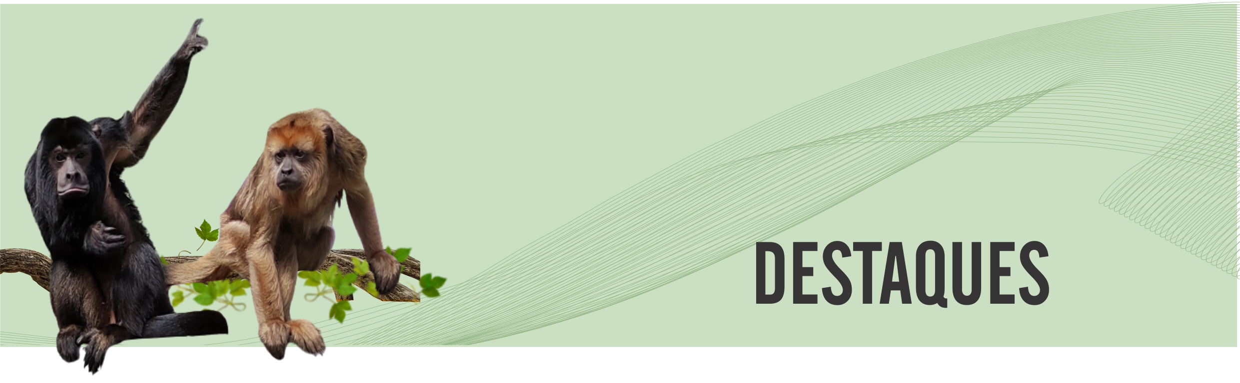 banner — Instituto Evandro Chagas - IEC