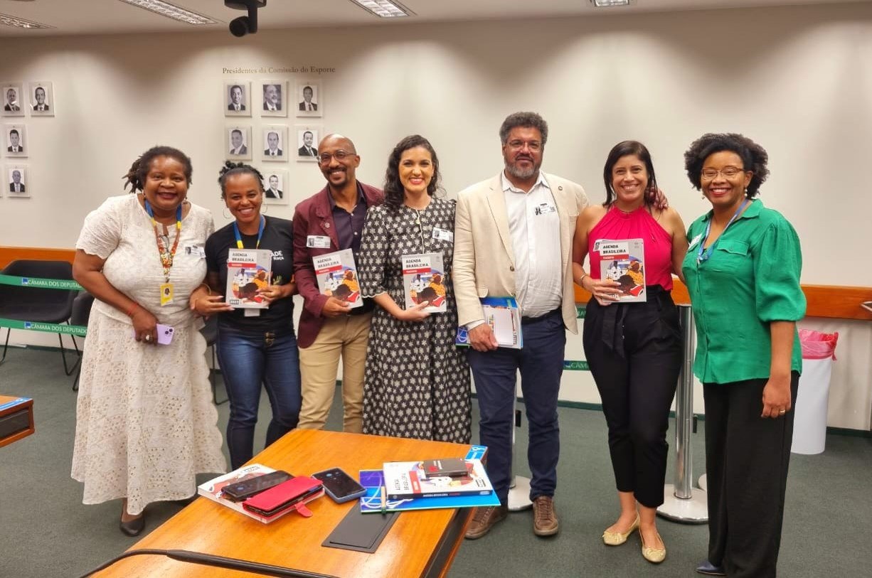 INES participa de audiência pública sobre ações afirmativas na Câmara ...