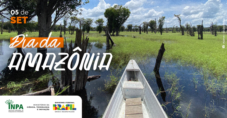 Amazônia - Entenda por que as áreas úmidas são vitais para o futuro ...