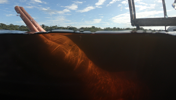 Estudo do INPA em parceria com a USP investiga ocorrência de ...