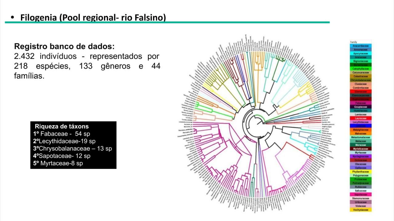 Estudo inédito aponta que as matas ciliares dos pequenos rios de água ...