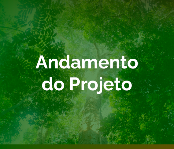 banner-andamento-do-projeto.png — Instituto Nacional de Pesquisas da ...
