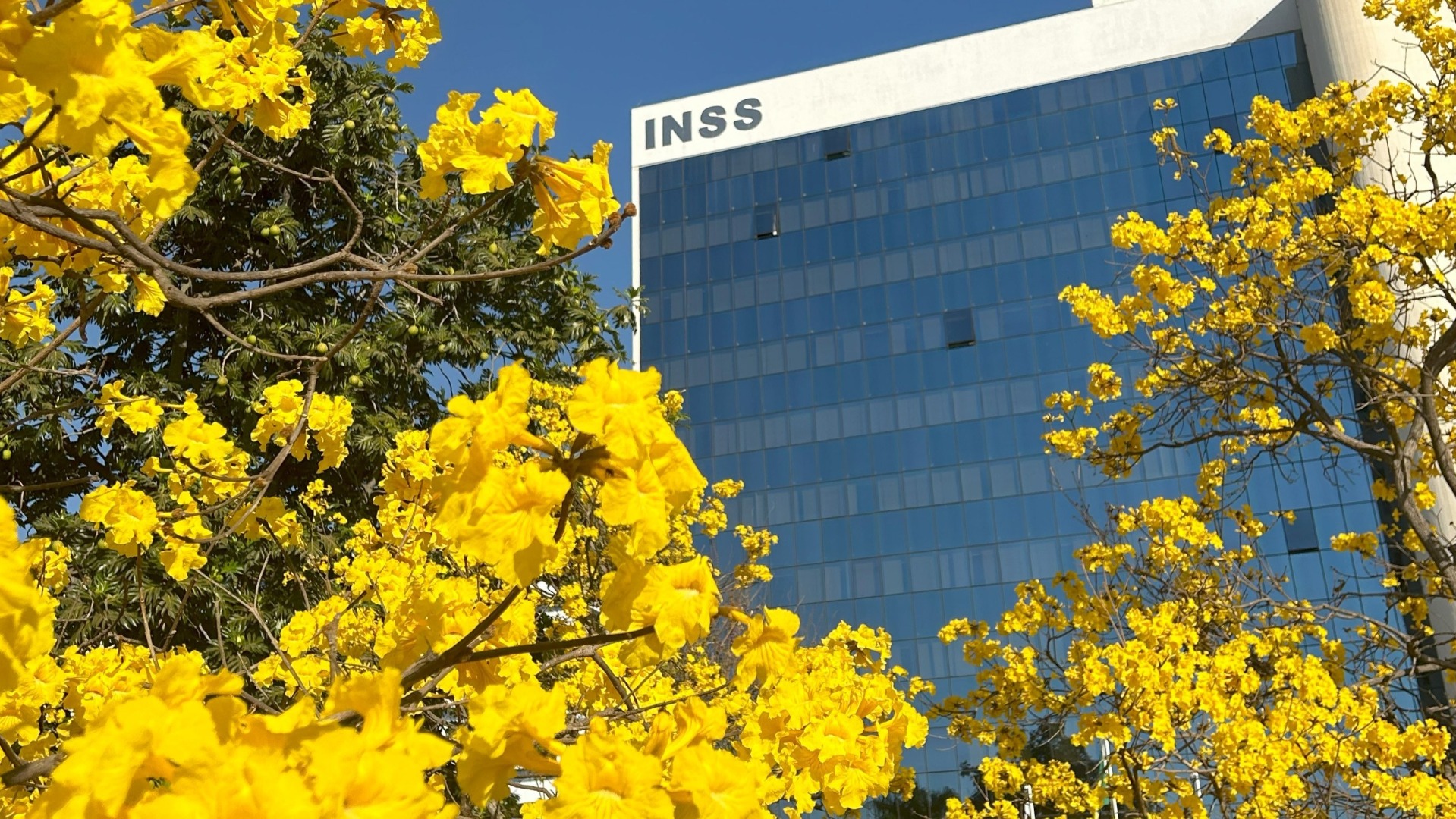 INSS — Instituto Nacional do Seguro Social - INSS