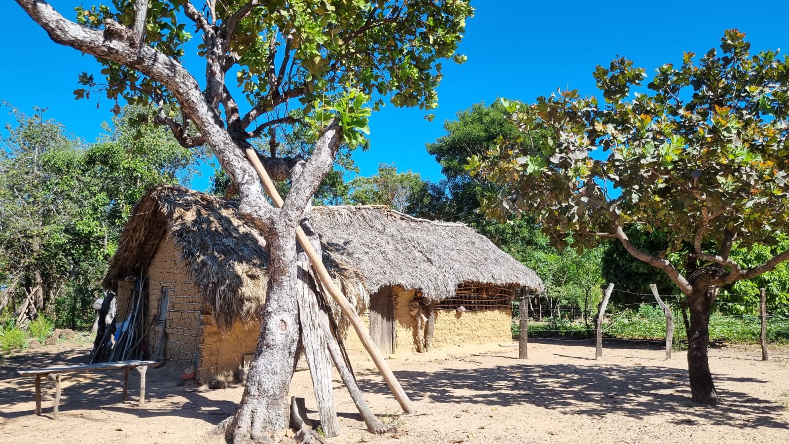 Iphan apresenta processo de tombamento dos quilombos a comunidades do Tocantins — Instituto do ...