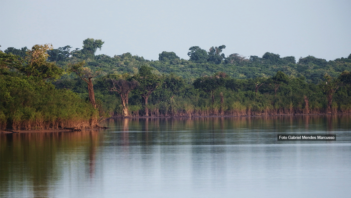 Event on knowledge, conservation, and sustainable use of Amazonian ...