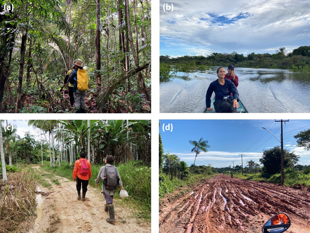 Expedition in the heart of the Amazon and the Atlantic Forest ...