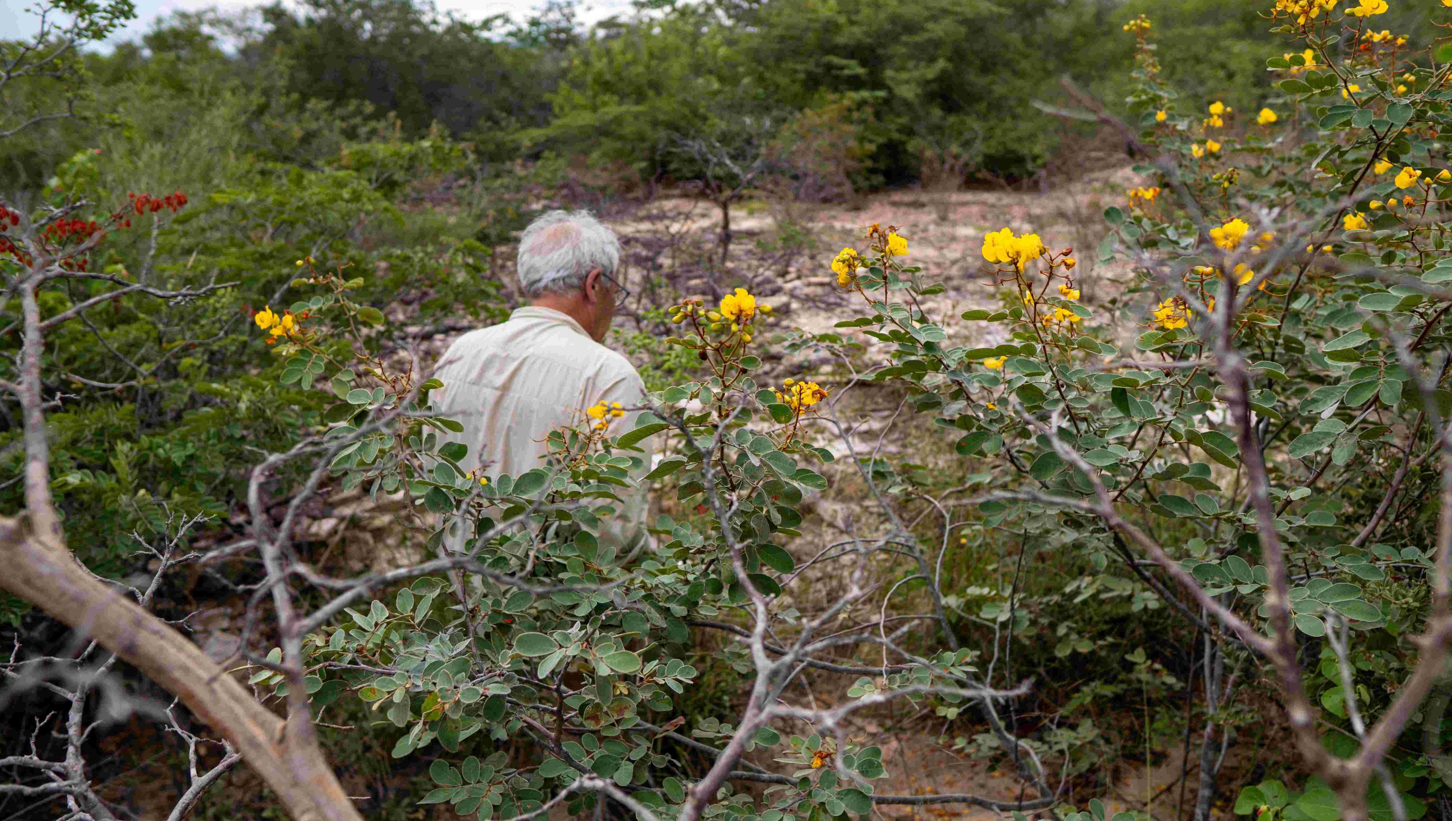 Second documentary shows CNCFlora scientific expedition to Caatinga to ...