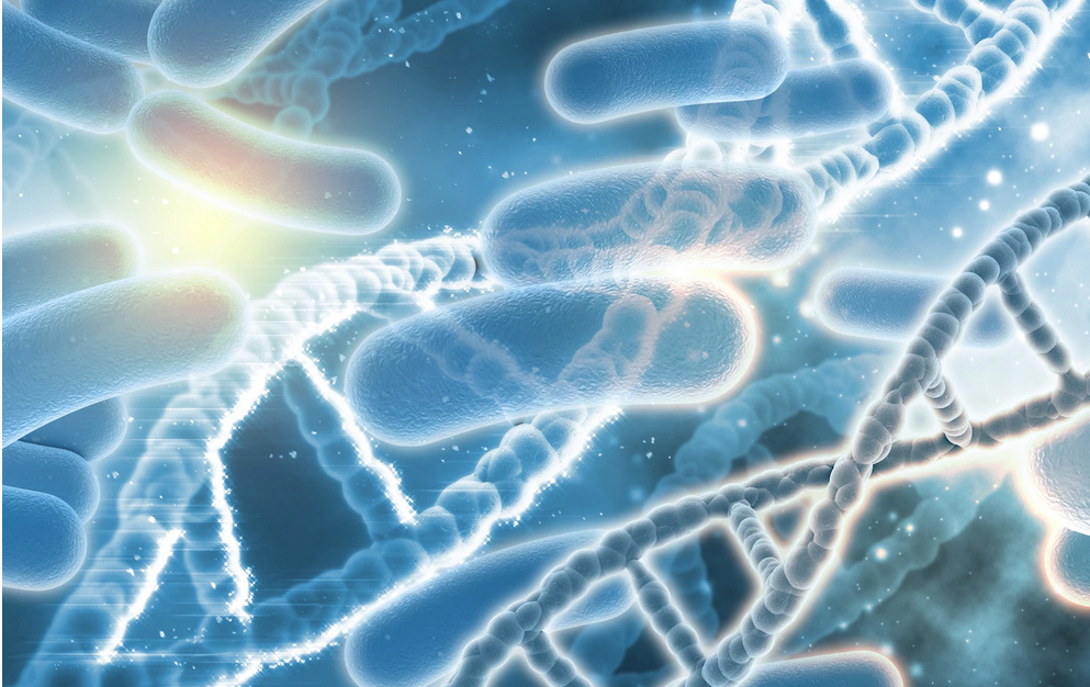 CTNBio/MCTI aprova liberação comercial de tratamentos para hemofilia e ...