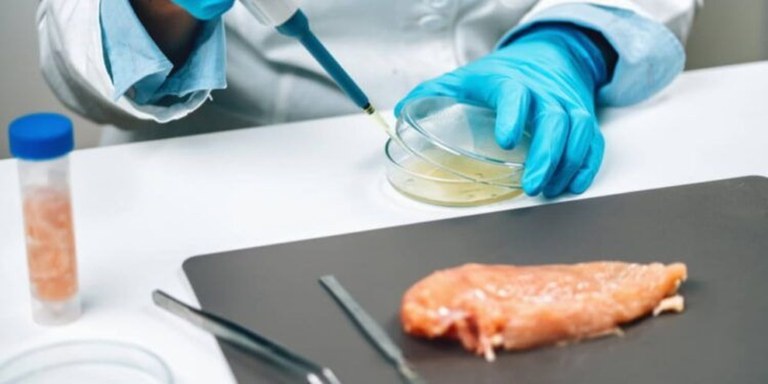 Embrapii investe no desenvolvimento de novos ingredientes de proteína ...