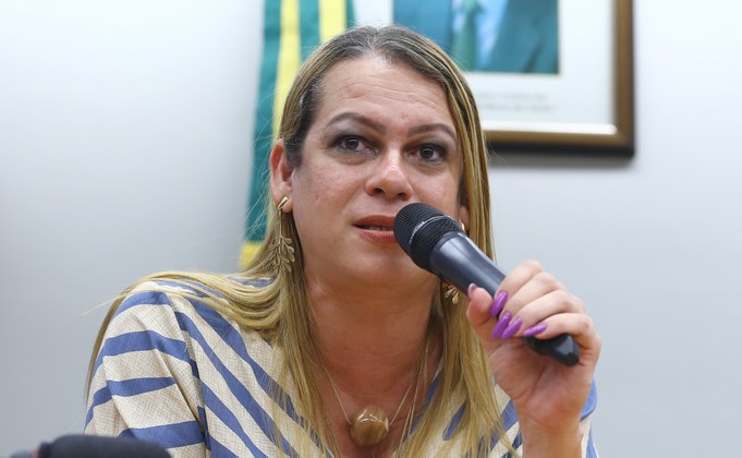 Na Câmara, secretária Symmy Larrat defende união entre Poderes para ...
