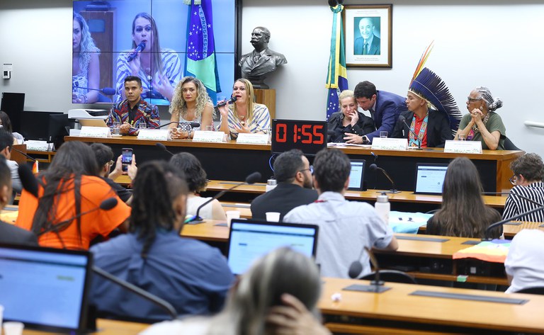 Na Câmara, secretária Symmy Larrat defende união entre Poderes para ...