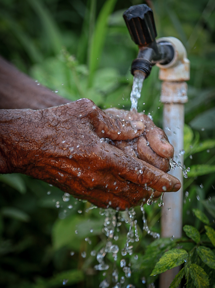 Símbolo do Fome Zero, Guaribas (PI) supera miséria e colhe frutos após ...