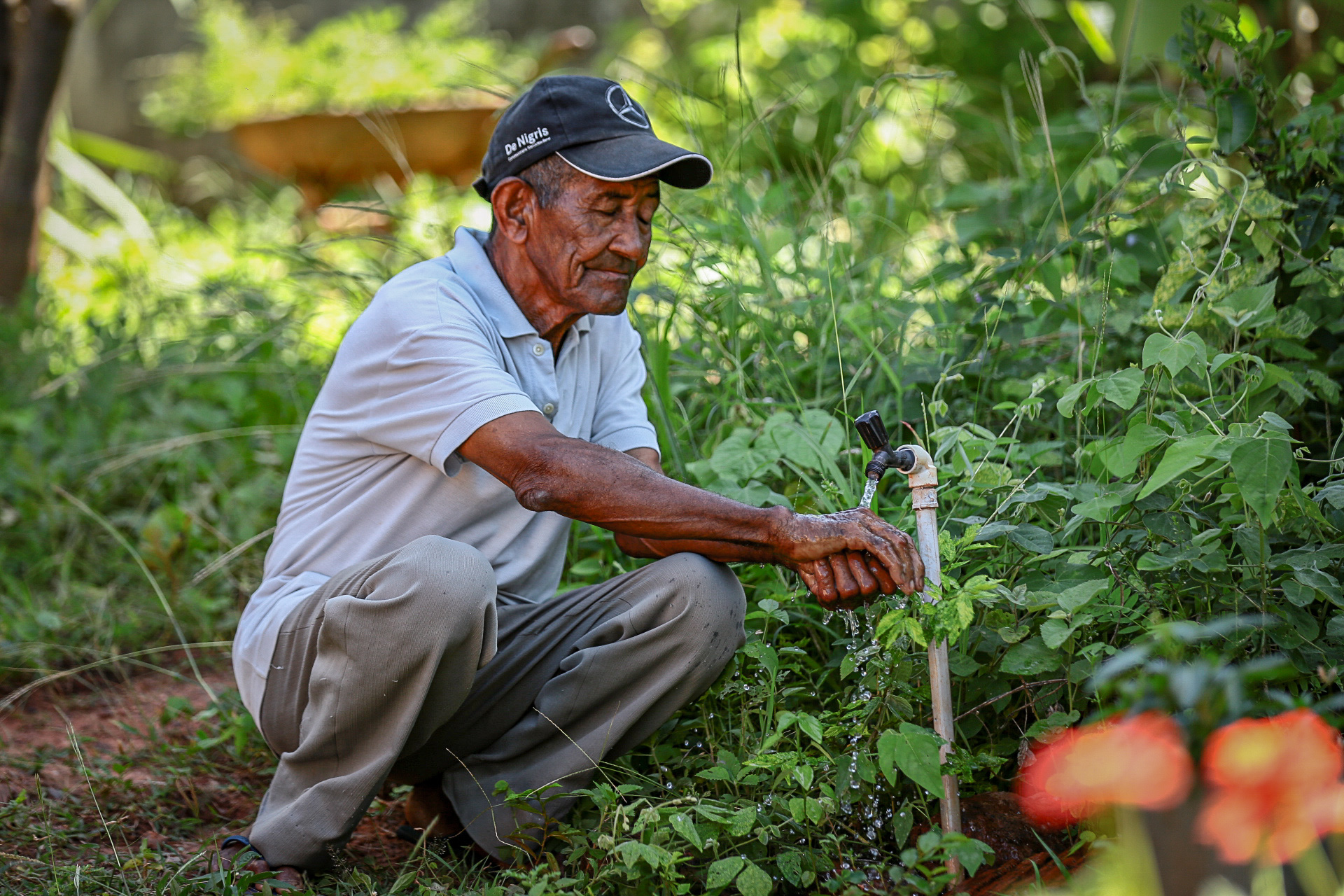 Símbolo do Fome Zero, Guaribas (PI) supera miséria e colhe frutos após ...