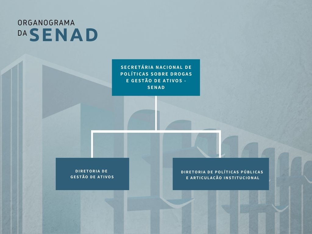 Conheça a Senad — Português (Brasil)