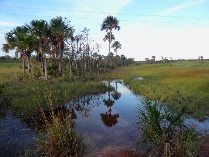 biomas.jpg — Ministério do Meio Ambiente e Mudança do Clima