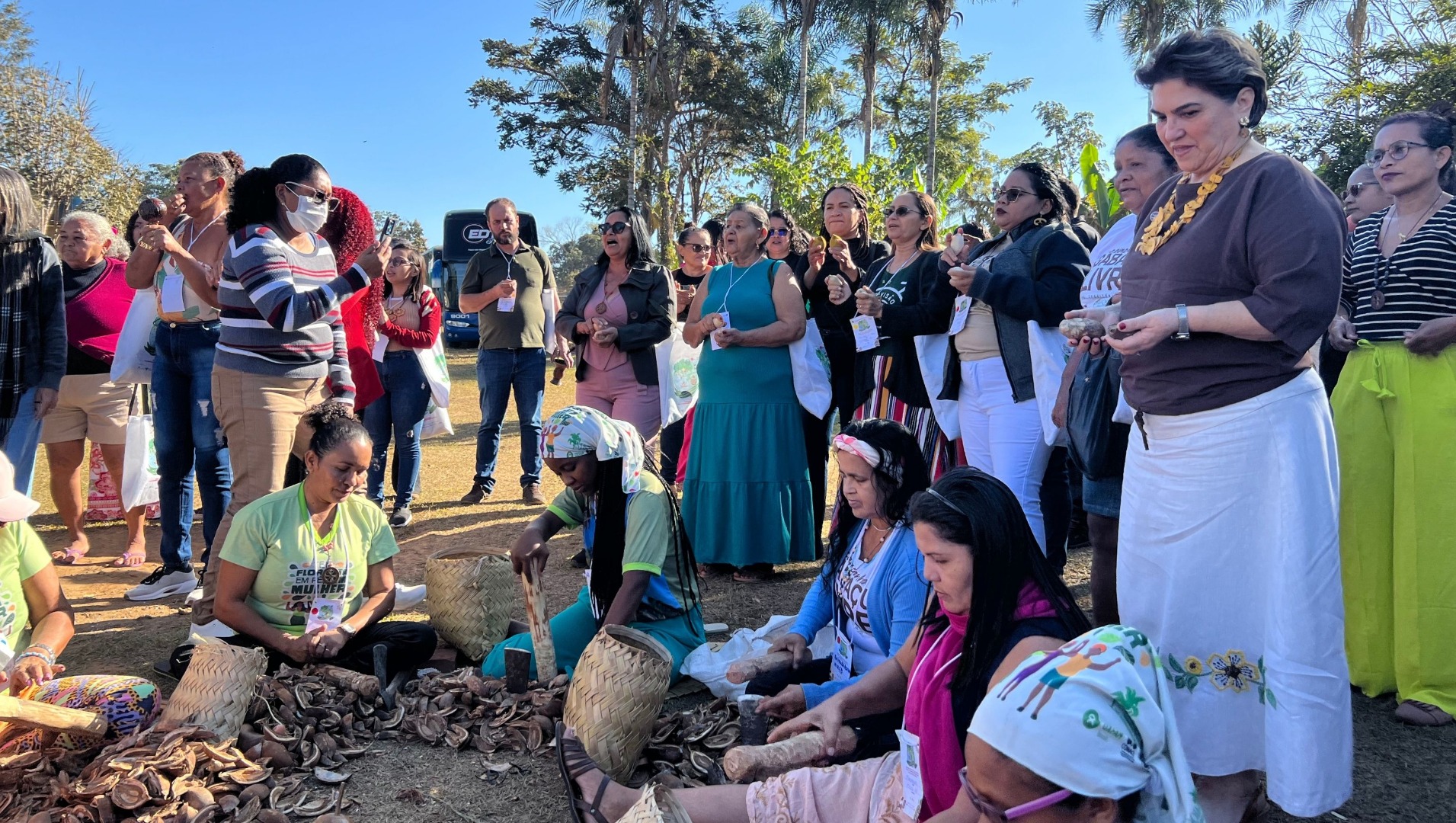 Pré-COP: Márcia Lopes recebe carta com demandas de quebradeiras de coco ...