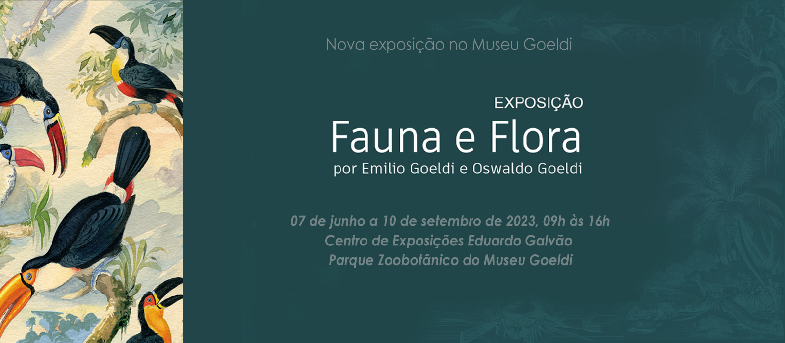 Abertura exposição fauna e flora sem logos.png — Museu Paraense Emílio ...