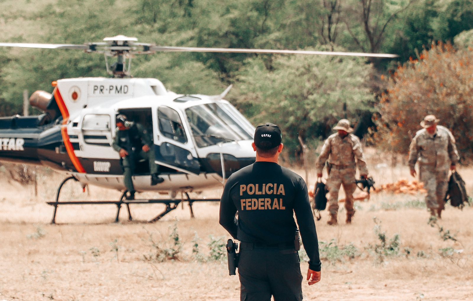 Polícia Federal deflagra a Operação Phaseoli IV e erradica 256 mil pés ...