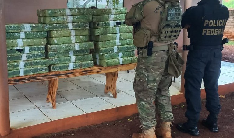 PF deflagra a segunda fase da Operação Cannabis Express para reprimir o ...