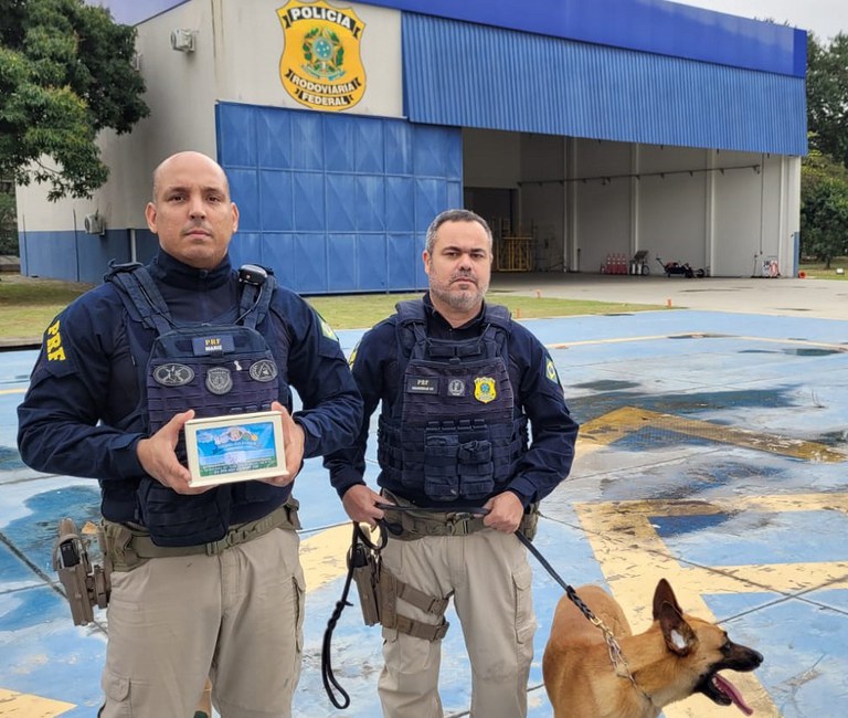 PRF faz homenagem para o K9 Apollo no Rio de Janeiro — Polícia ...
