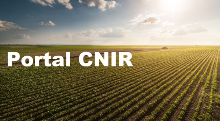 Receita Federal e Incra estabelecem novas datas para a vinculação entre ...