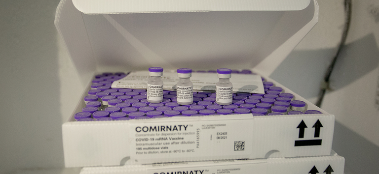 Pfizer: mais 1 milhão de doses chegam ao Brasil nesta quarta-feira (18 ...