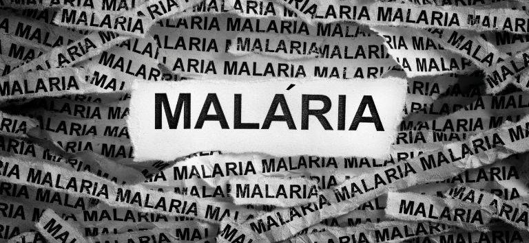 Saiba mais sobre a malária em 8 tópicos — Ministério da Saúde