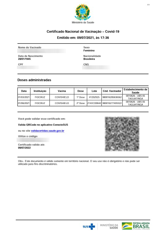 Conecte SUS English — Ministério da Saúde