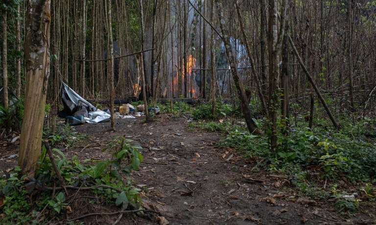 Federal Government removes invaders, provides assistance at Yanomami ...
