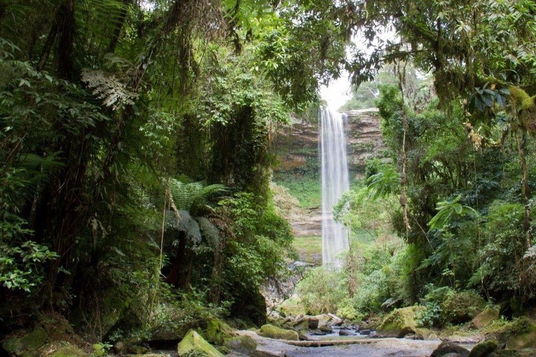 Ministry of Environment initiates public consultation for the Atlantic ...