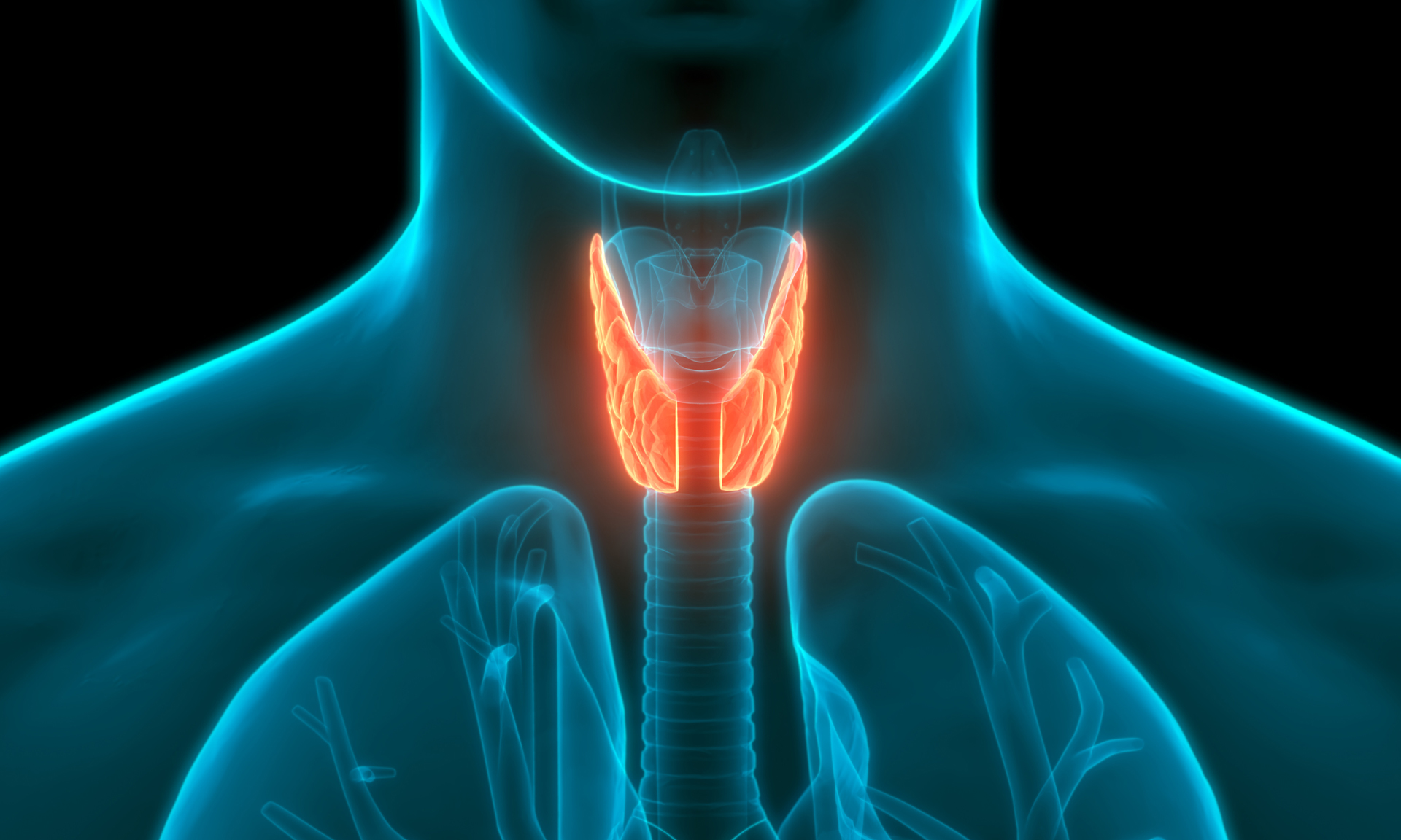 Lei institui o Dia Nacional do Laringectomizado — Secretaria-Geral