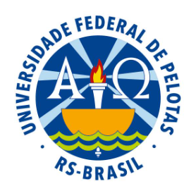 UFPEL.png — Portal do Servidor
