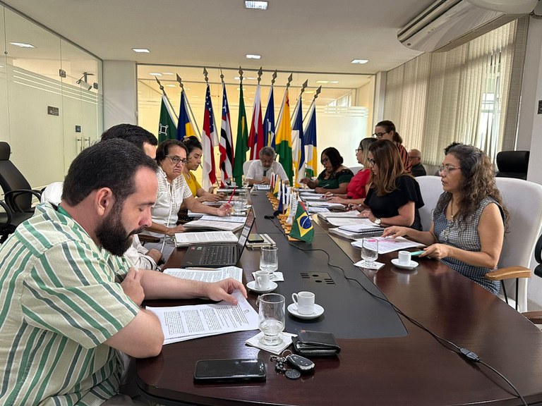 Comitê técnico do Condel debate a atualização de incentivos fiscais da ...