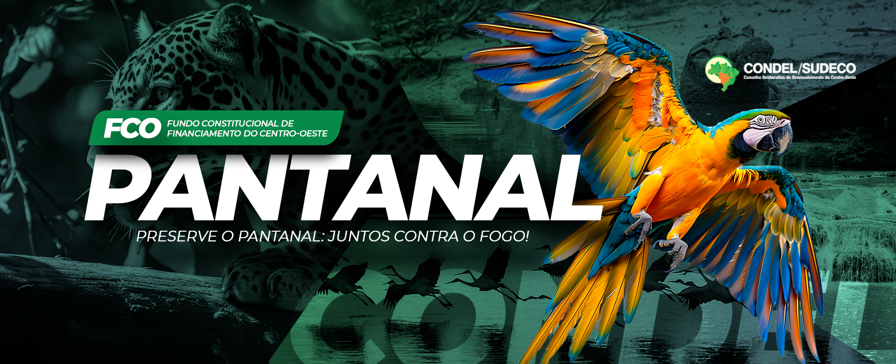 Pauta 21ª Reunião Ordinária do CONDEL — Superintendência do ...