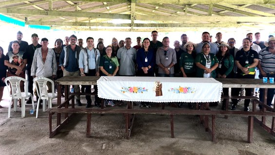 Projeto-piloto com plantio de 12,5 mil mudas de curauá tem início em ...