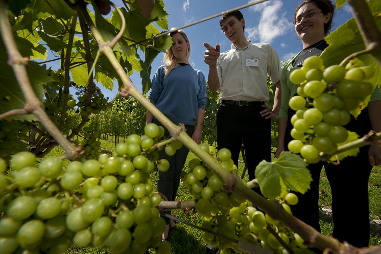 14_06_18_BBA2_Embratur.jpg — Ministério do Turismo