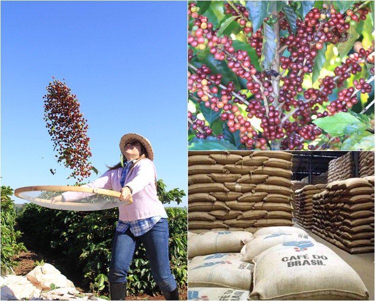 24_05_17_Rota_Cafe_3.jpg — Ministério do Turismo