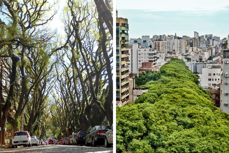 Rua.jpg — Ministério do Turismo